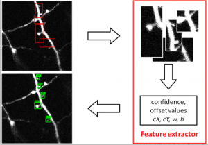 C2: Segmentation, tracking, and pattern recognition for molecular ...