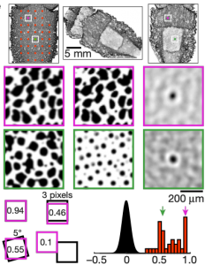 C2: Segmentation, tracking, and pattern recognition for molecular ...