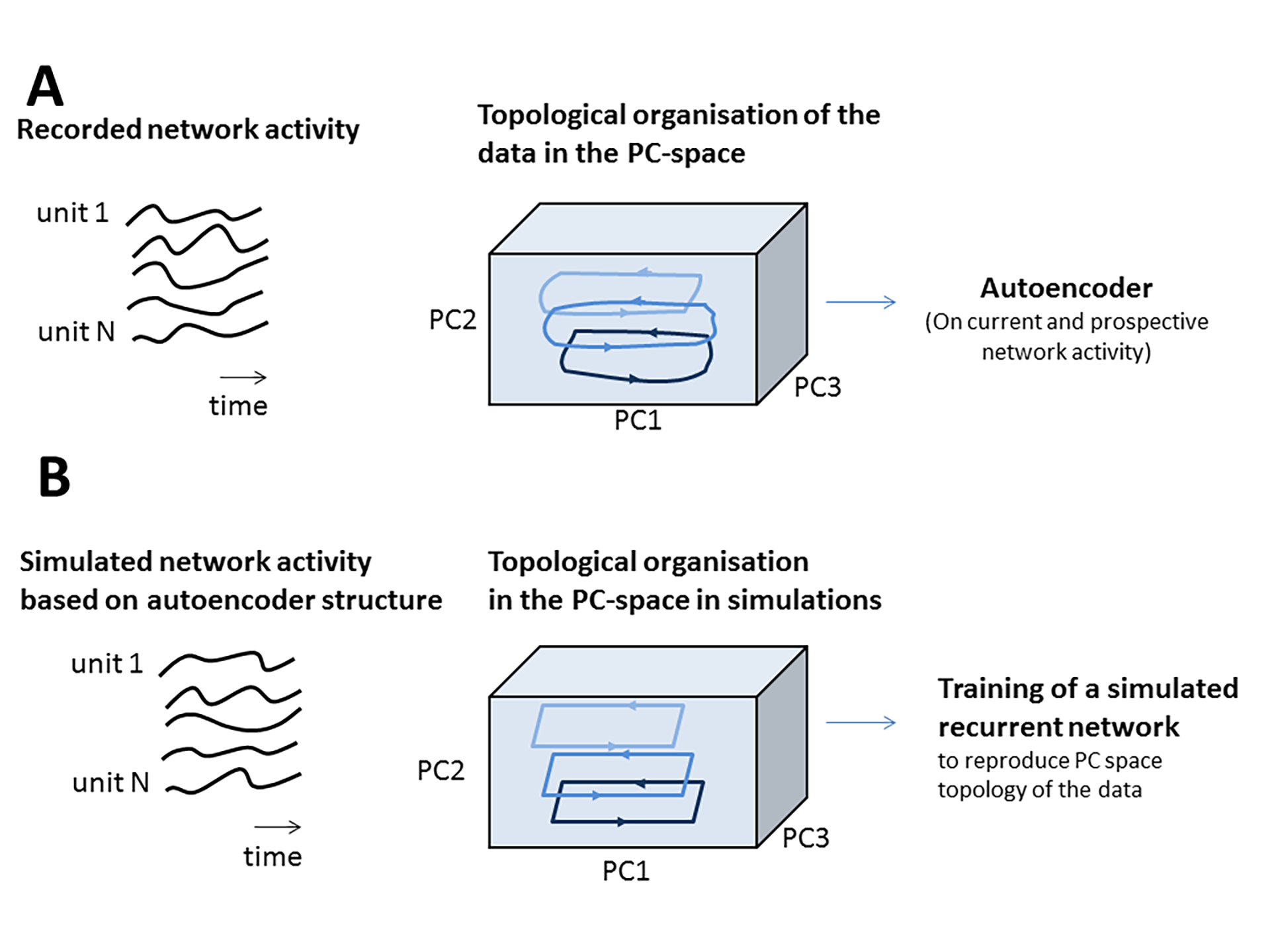 C1: Identifying signatures of prospective and retrospective coding in ...